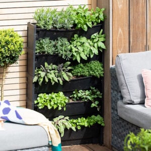 PlantBox Outdoor Living Wall with Herbs | The Little Botanical