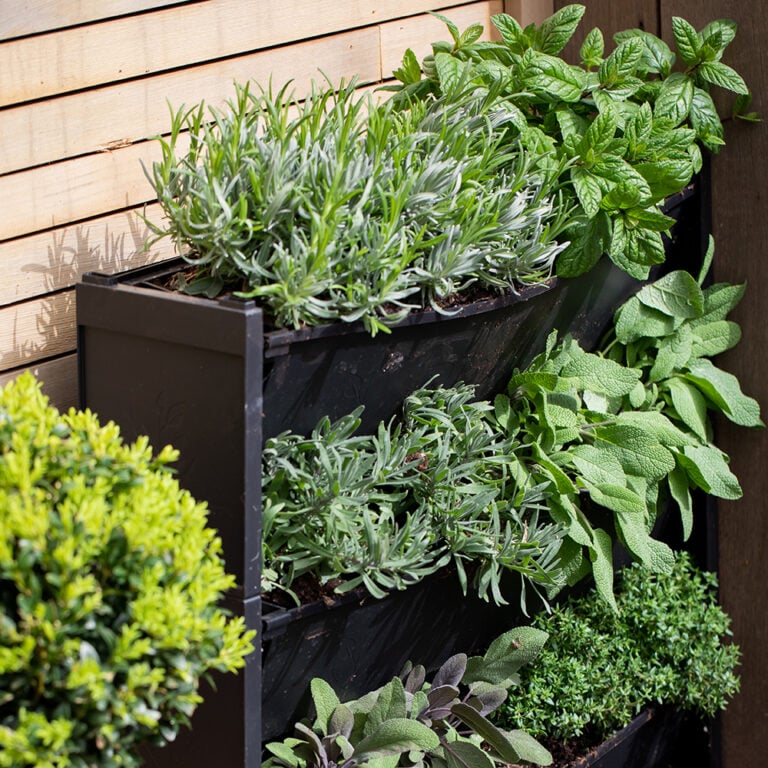 PlantBox Outdoor Living Wall with Herbs | The Little Botanical