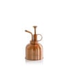 Zab Plant Mister | The Little Botanical