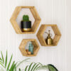 Zab Plant Mister | The Little Botanical