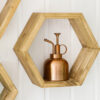 Zab Plant Mister | The Little Botanical