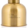 Zab Plant Mister | The Little Botanical