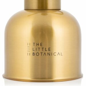 Zab Plant Mister | The Little Botanical