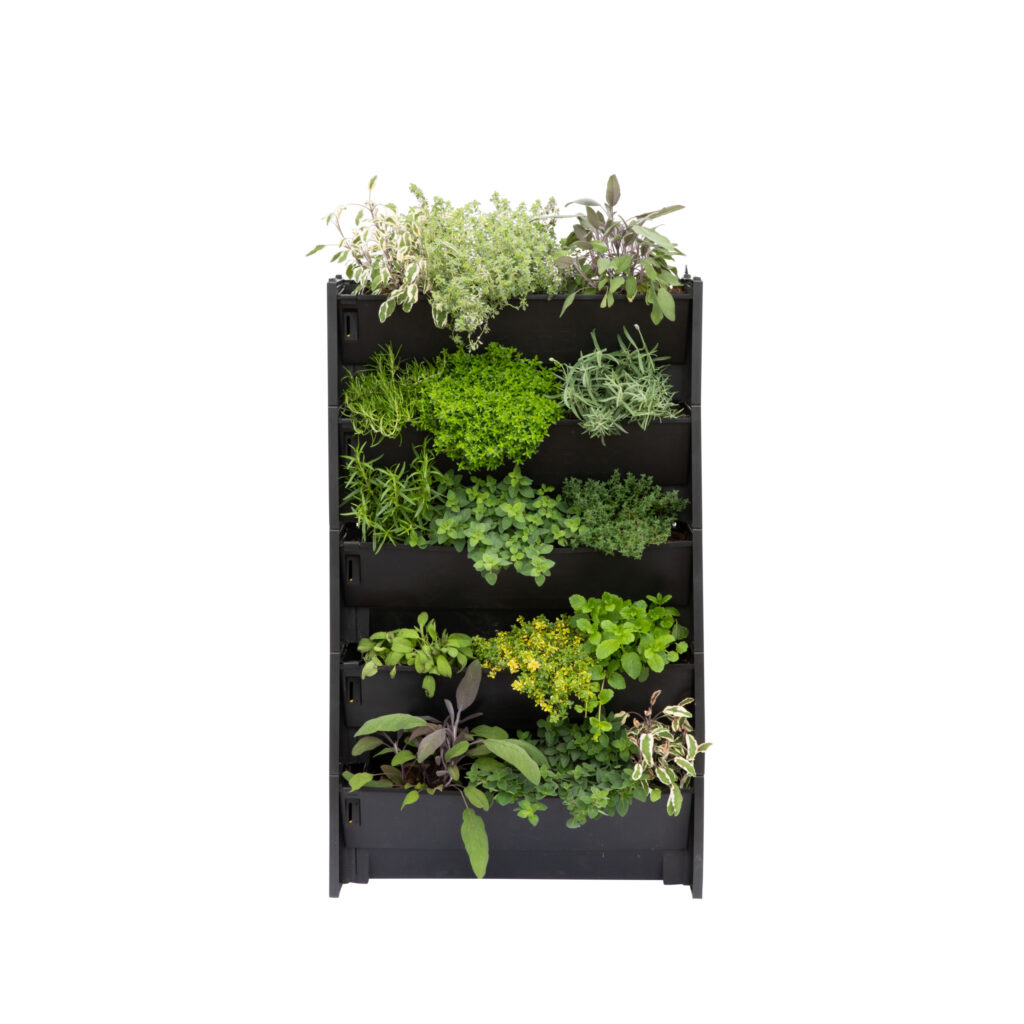 PlantBox Outdoor Living Wall with Herbs | The Little Botanical