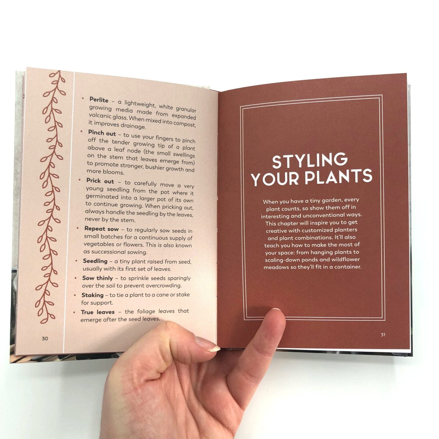 My Tiny Window Garden Book | The Little Botanical