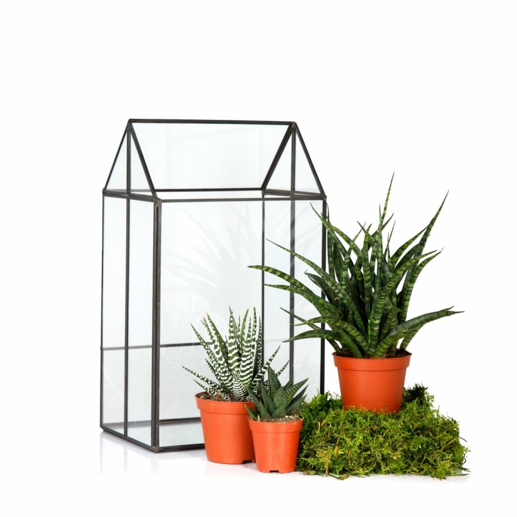 PlantBox Living Wall Troughs | The Little Botanical