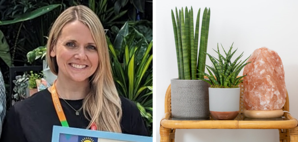 Best Indoor Plants: Chosen by Us | The Little Botanical