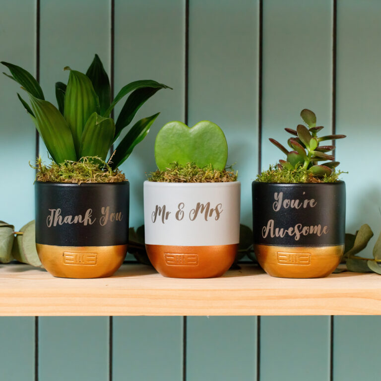 Personalised Plants | The Little Botanical | Personalised Plant Pots