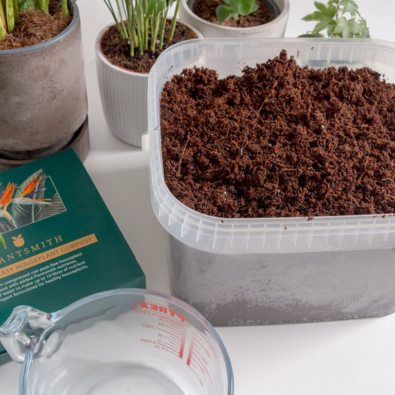 Plantsmith Peat-Free Houseplant Compost 10 litres | The Little Botanical