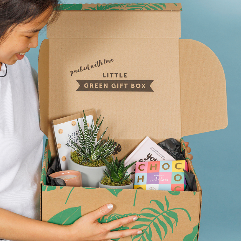 The Little Botanical | Houseplants & Flowers Delivered Nationwide