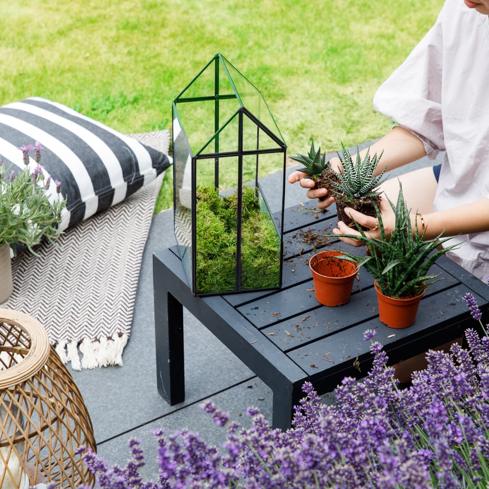 DIY Terrarium Kit | The Little Botanical