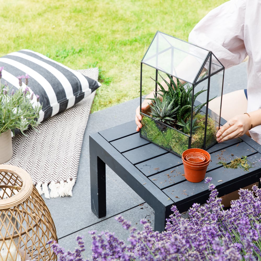 DIY Terrarium Kit | The Little Botanical