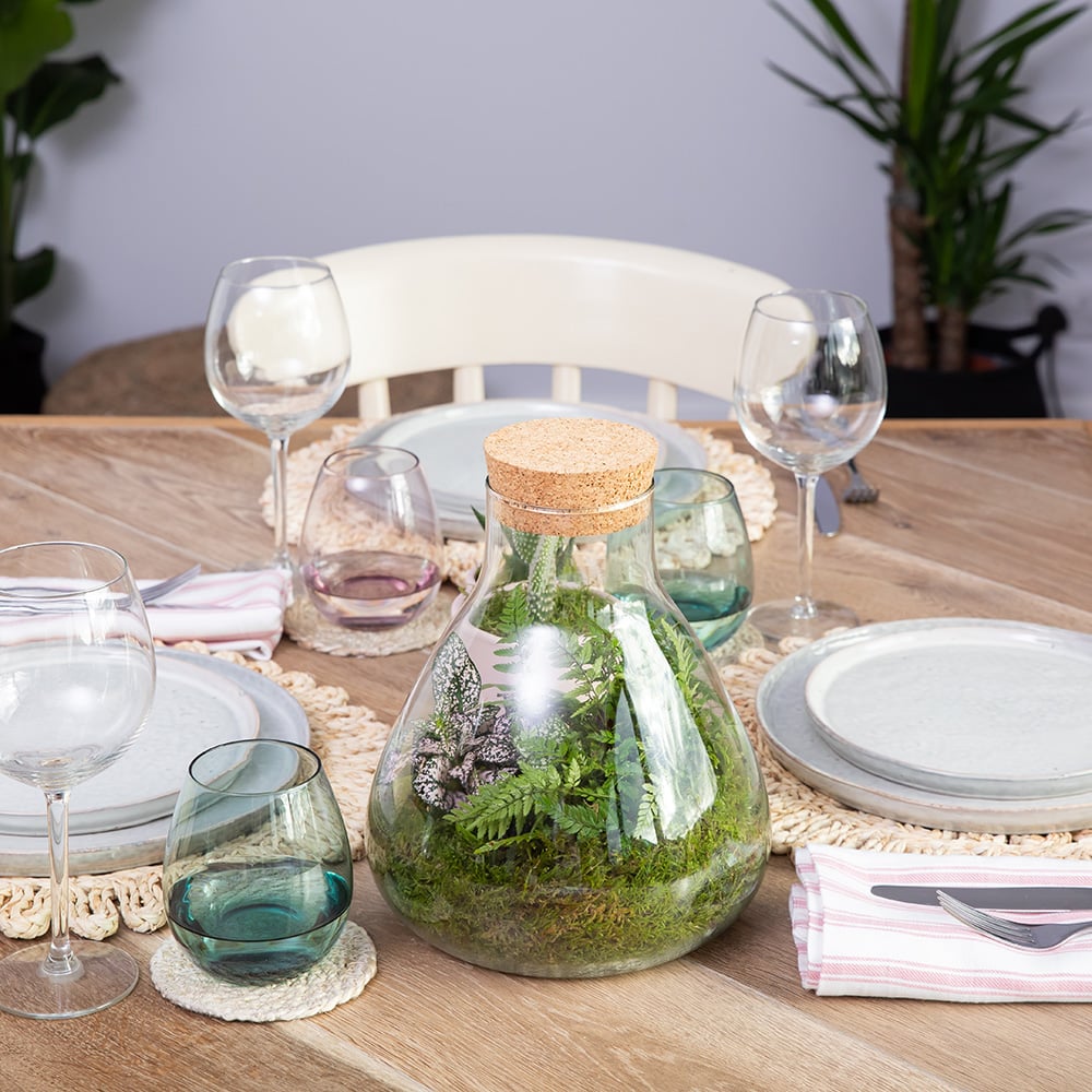 Fern Terrarium | Ready-Made Glass Jar Garden | The Little Botanical