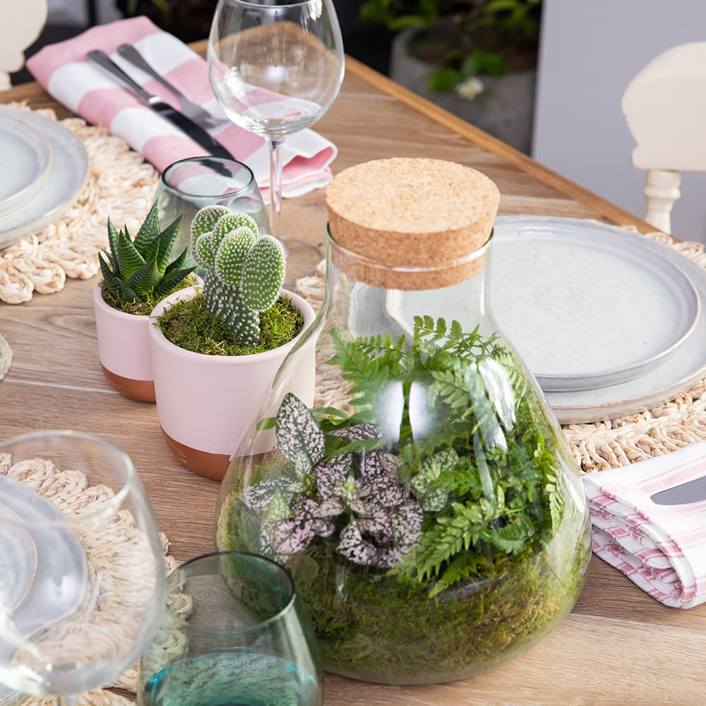 Fern Terrarium | Ready-Made Glass Jar Garden | The Little Botanical