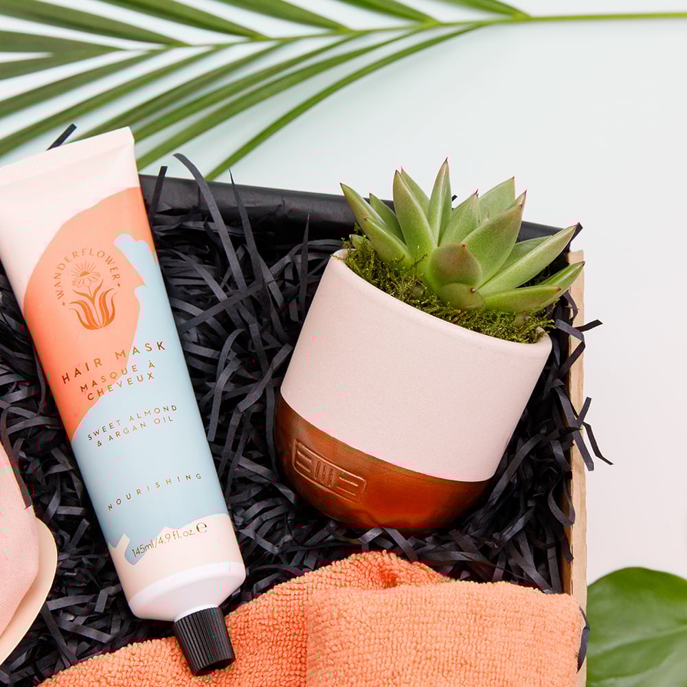 Hydrate & Revive – Hair-care Product Gift Box | The Little Botanical