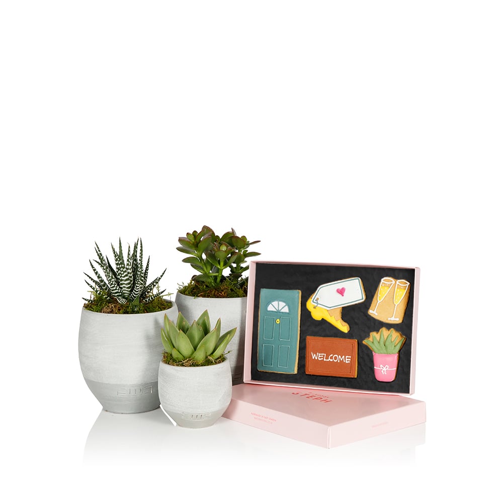 New Home Plants and Vanilla Biscuit Gift Set | The Little Botanical
